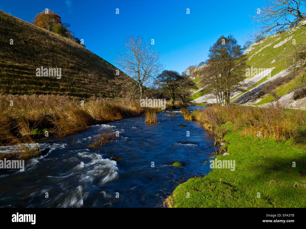 Limestone scenery at Wolfscote Dale near Hartington in White Peak area ...