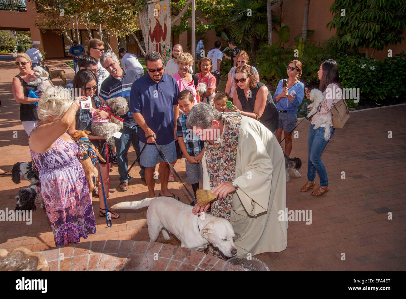 An appreciative crowd watches as a priest blesses a dog at the Blessing ...