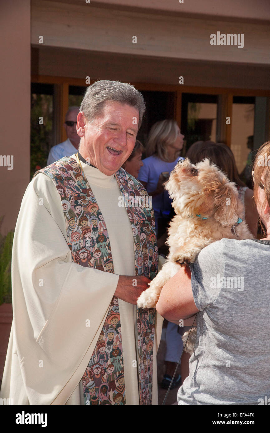 A priest laughs as he blesses a dog at the Blessing of the Animals on ...