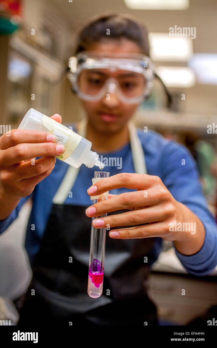 An Indian American high school chemistry student performs a qualitative ...