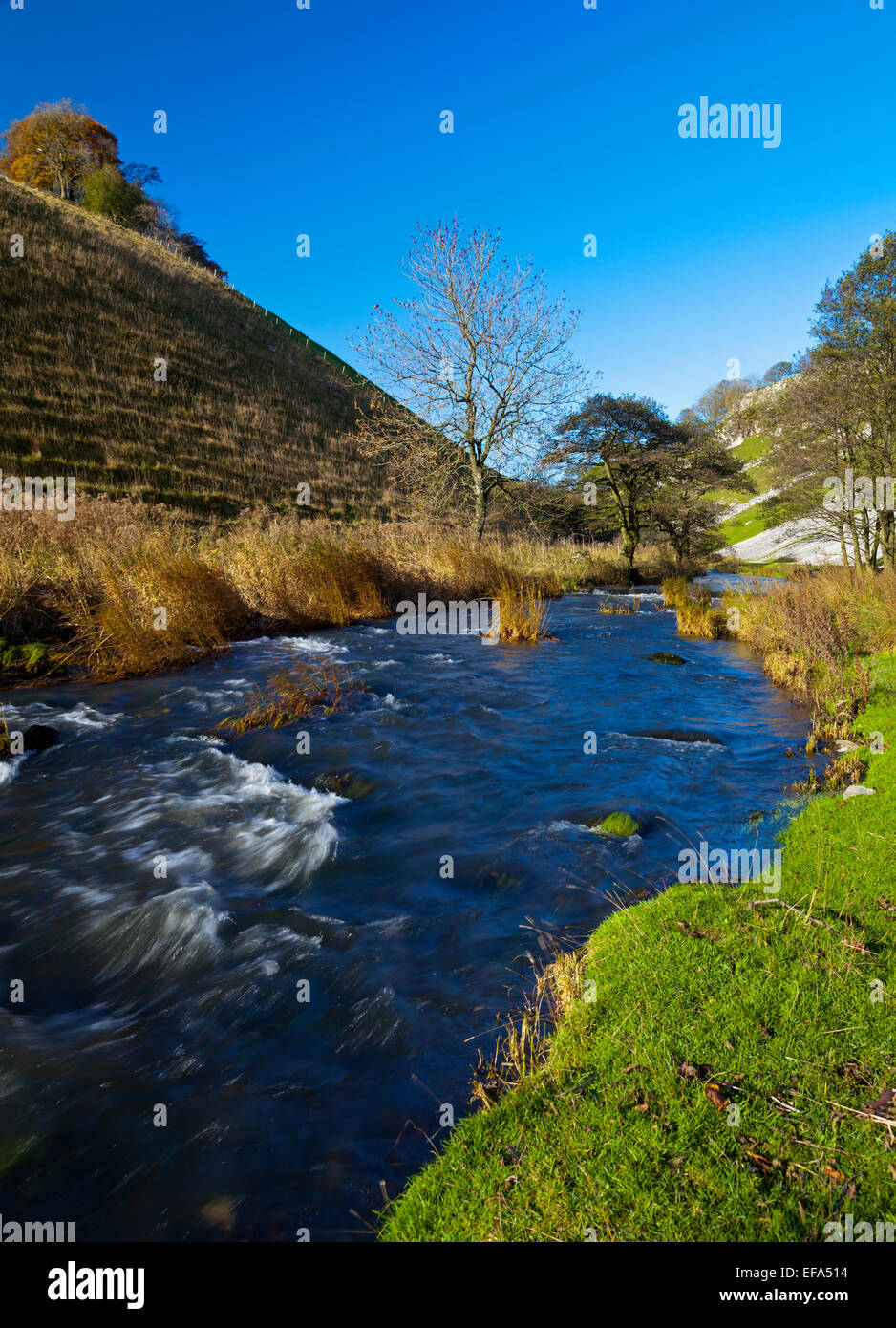 Limestone scenery at Wolfscote Dale near Hartington in White Peak area ...