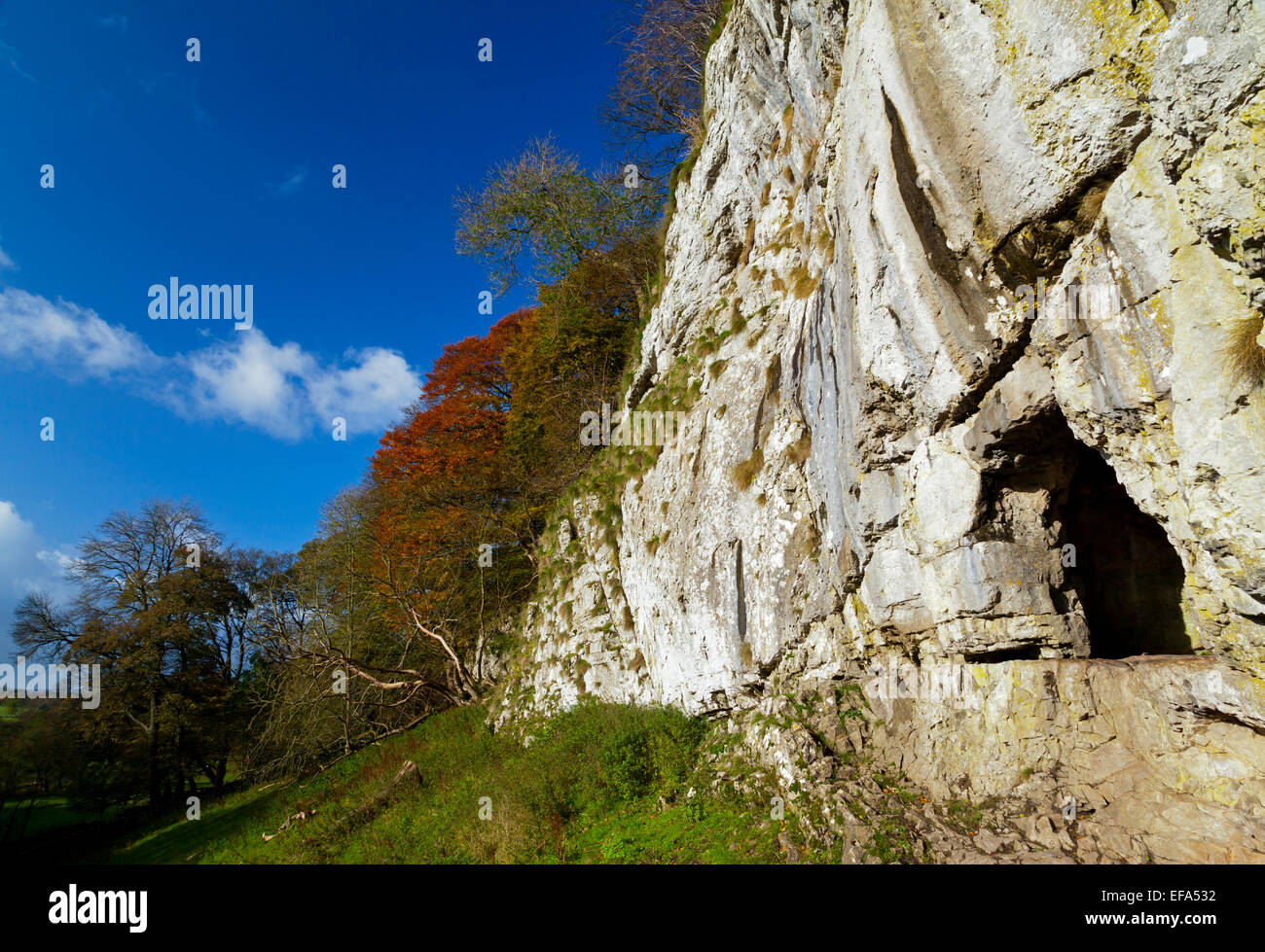 Limestone scenery at Wolfscote Dale near Hartington in White Peak area ...