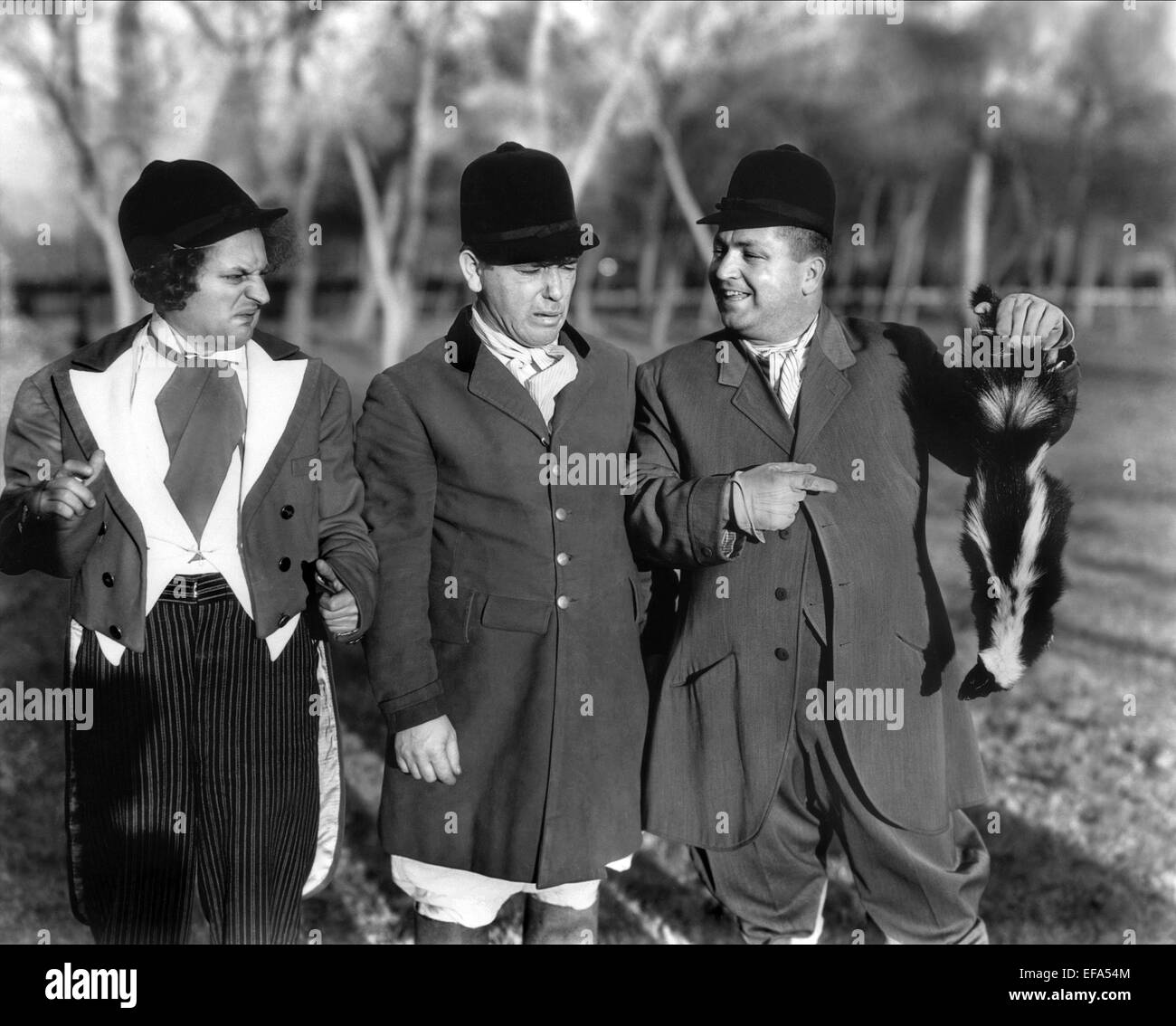 Curly Joe Derita High Resolution Stock Photography and Images - Alamy