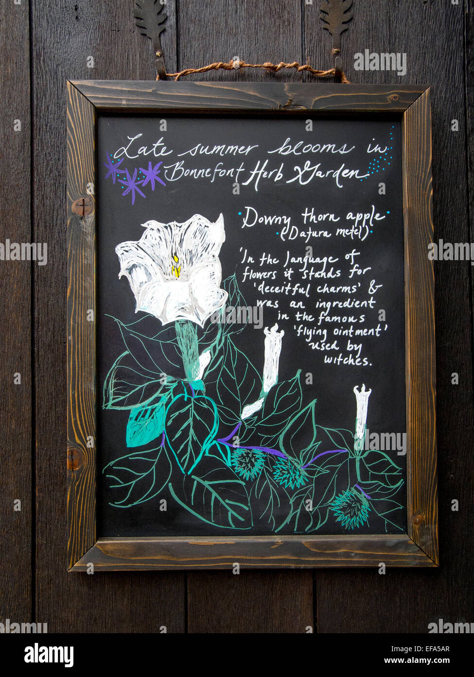 Medieval herb garden hi-res stock photography and images - Alamy