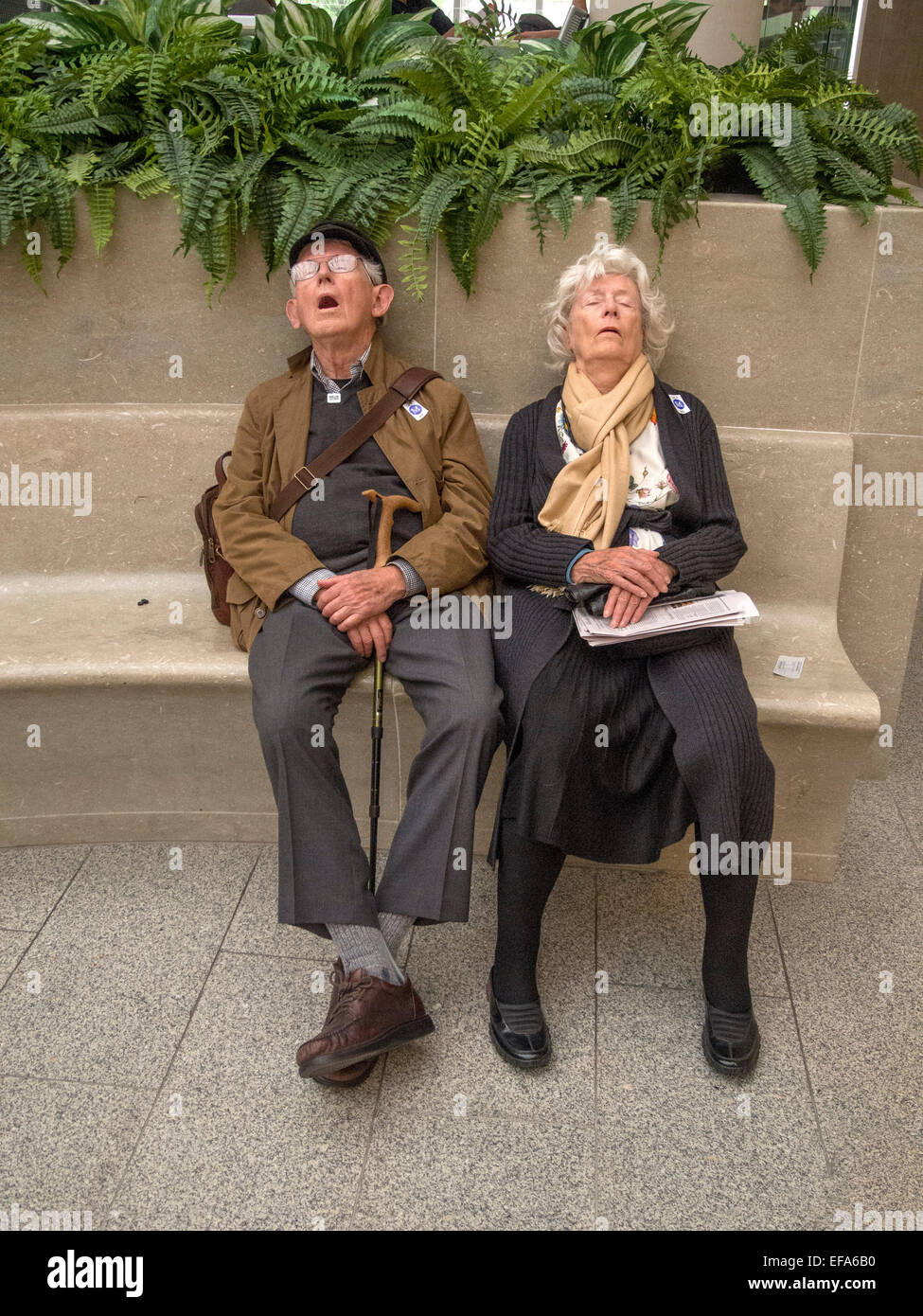 Victims of "museum fatigue," a tired elderly couple sleep on a bench in ...