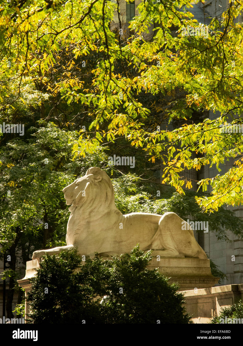 Sculpted by Edwin Clark Potter in 1911, the lion nicknamed "Fortitude ...