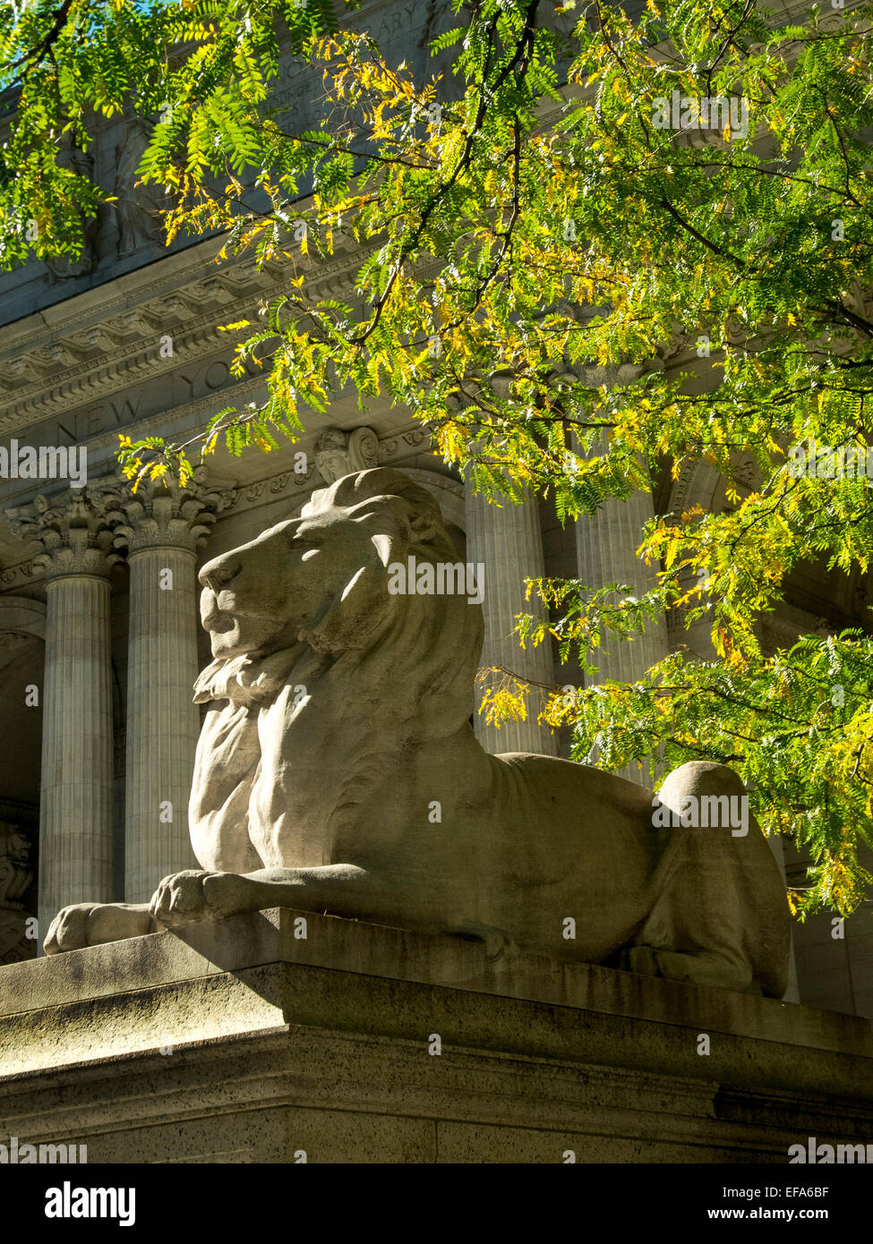 Sculpted by Edwin Clark Potter in 1911, the lion nicknamed "Fortitude ...