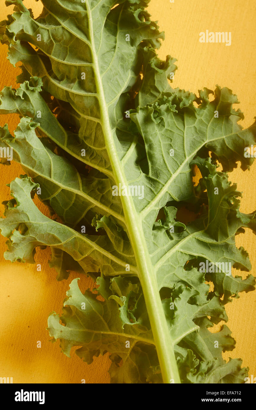 Leafy green leaves kale hi-res stock photography and images - Alamy