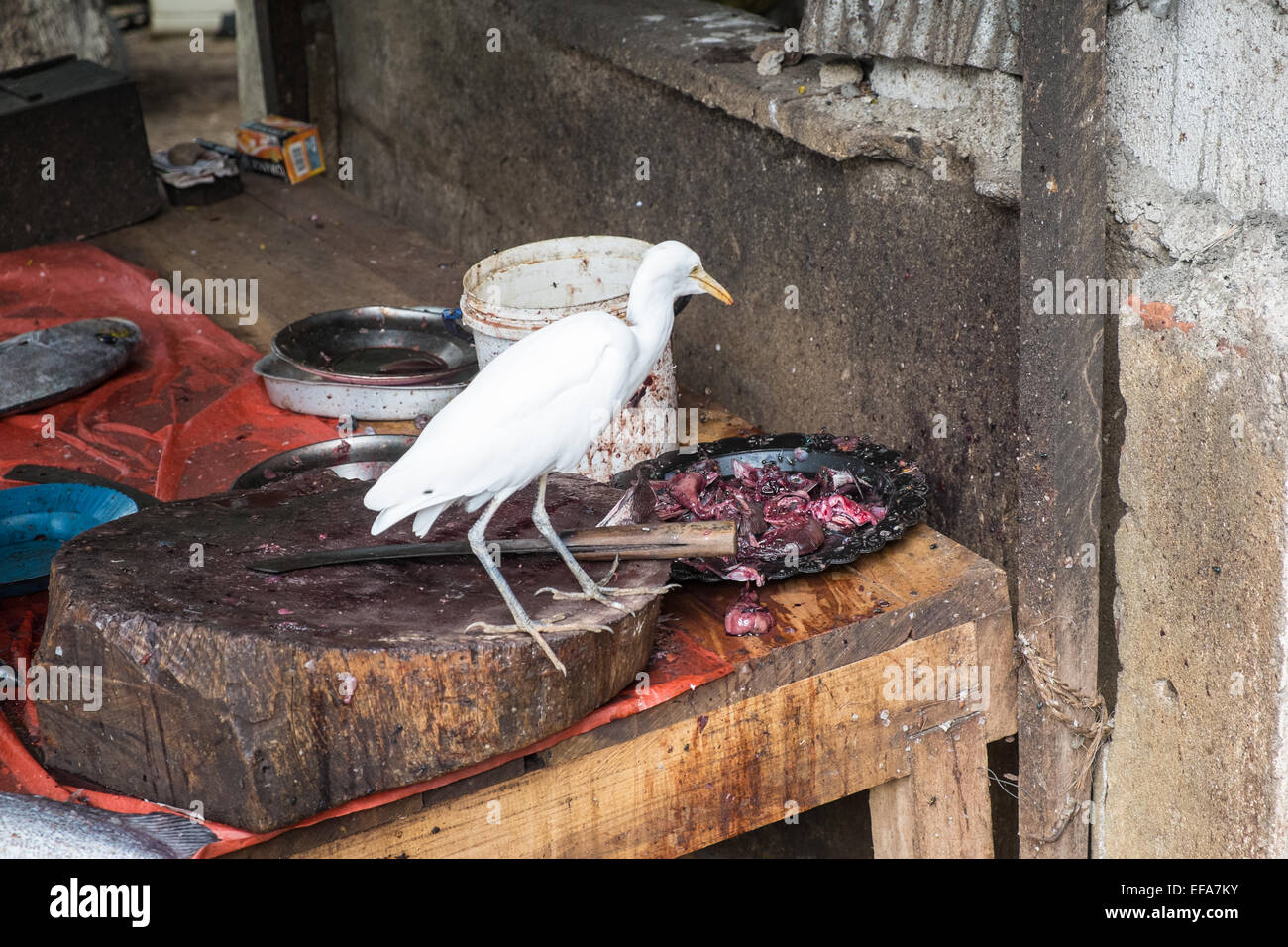 Butcher shop health standards hi-res stock photography and images - Alamy