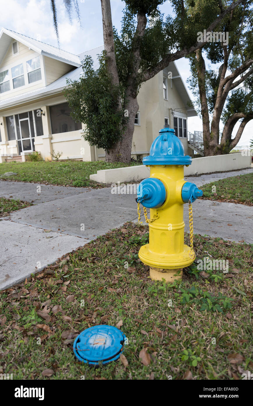 Fire hydrant, Clermont, Lake County, Florida Stock Photo - Alamy