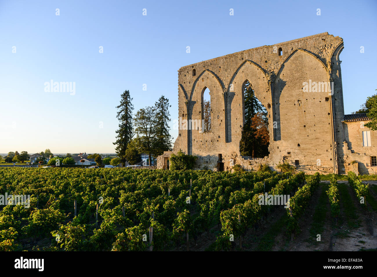 French village of Saint-Emilion Vineyard Stock Photo - Alamy
