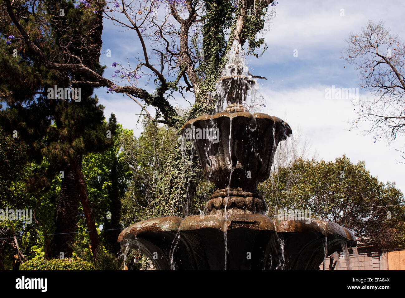 A Tipic Source Stock Photo - Alamy