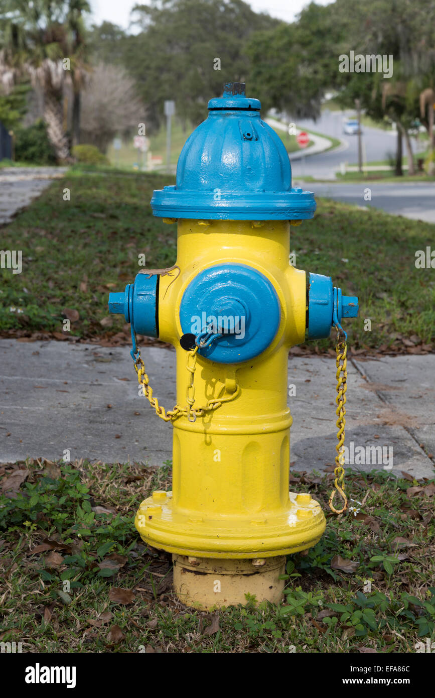 Fire hydrant, Clermont, Lake County, Florida Stock Photo - Alamy
