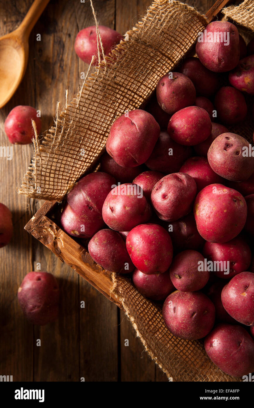 Red potatoes hi-res stock photography and images - Alamy