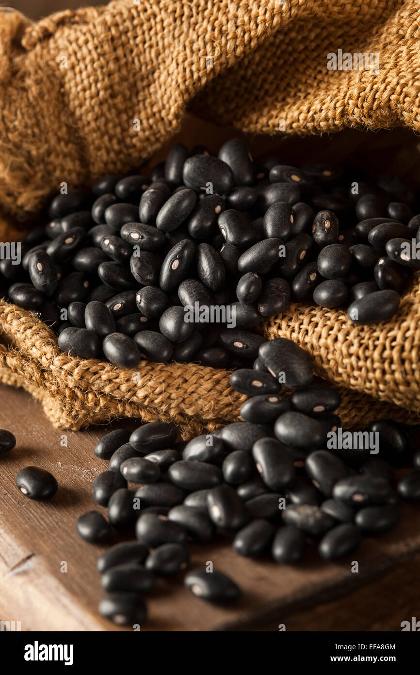 Organic Raw Dry Black Beans in a Spoon Stock Photo - Alamy