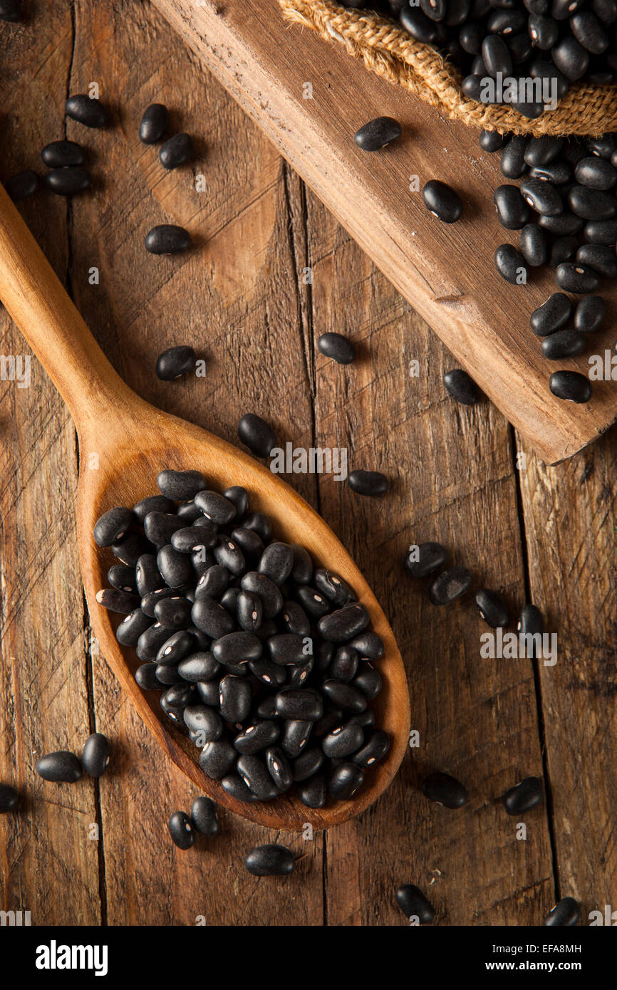 Organic Raw Dry Black Beans in a Spoon Stock Photo - Alamy