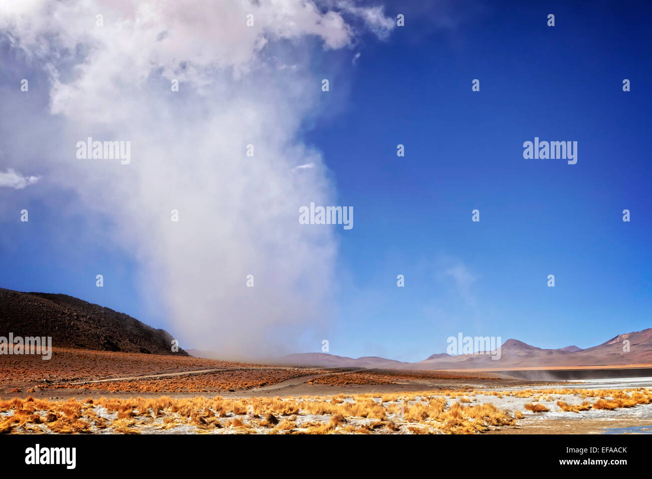 Tornado in good weather conditions moves through the sandy desert Stock ...