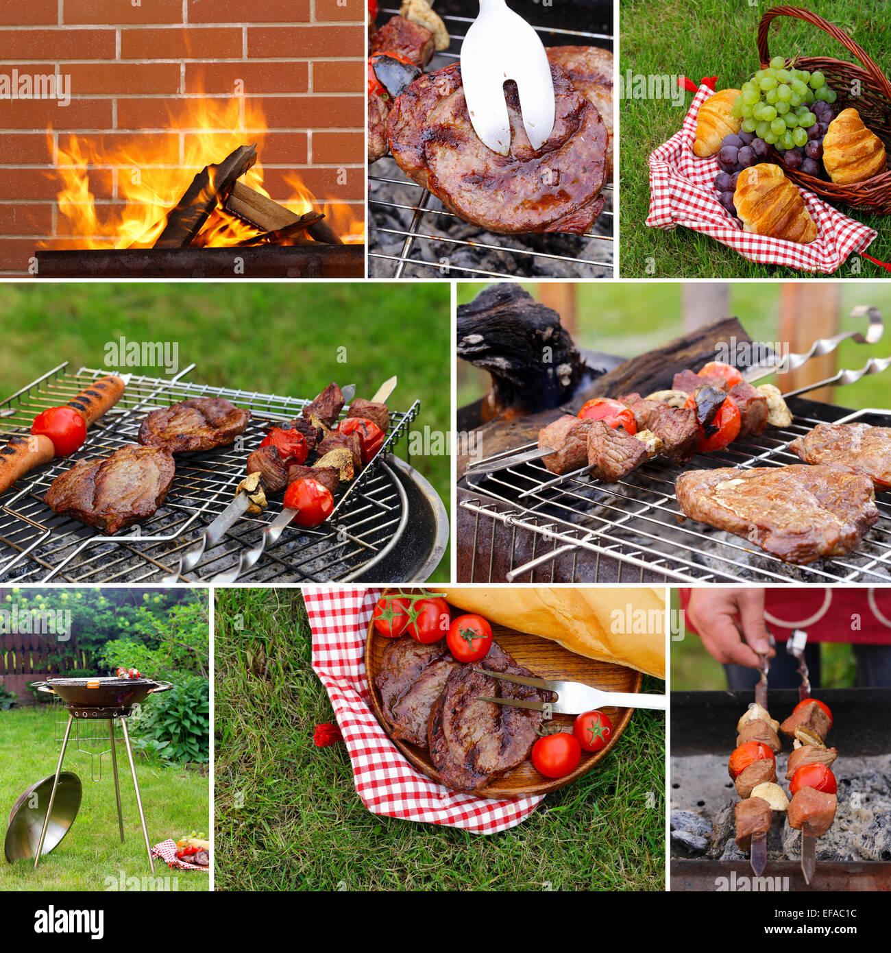 collage picnic on green grass and beef steak grilled on a barbecue ...