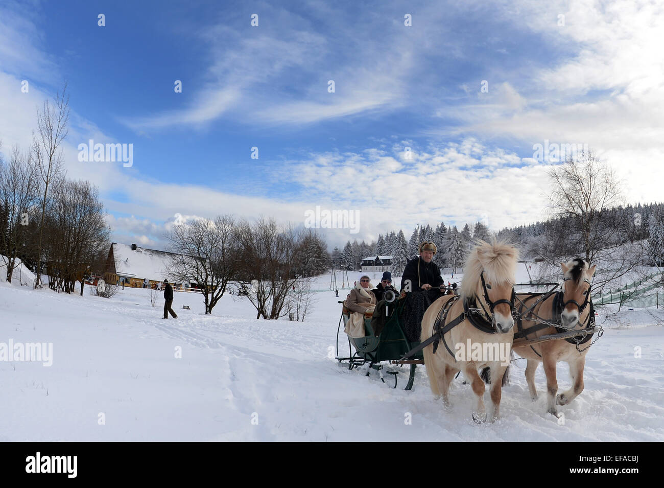 Altenburg, Germany. 29th Jan, 2015. A traditional horse-drawn sled ...