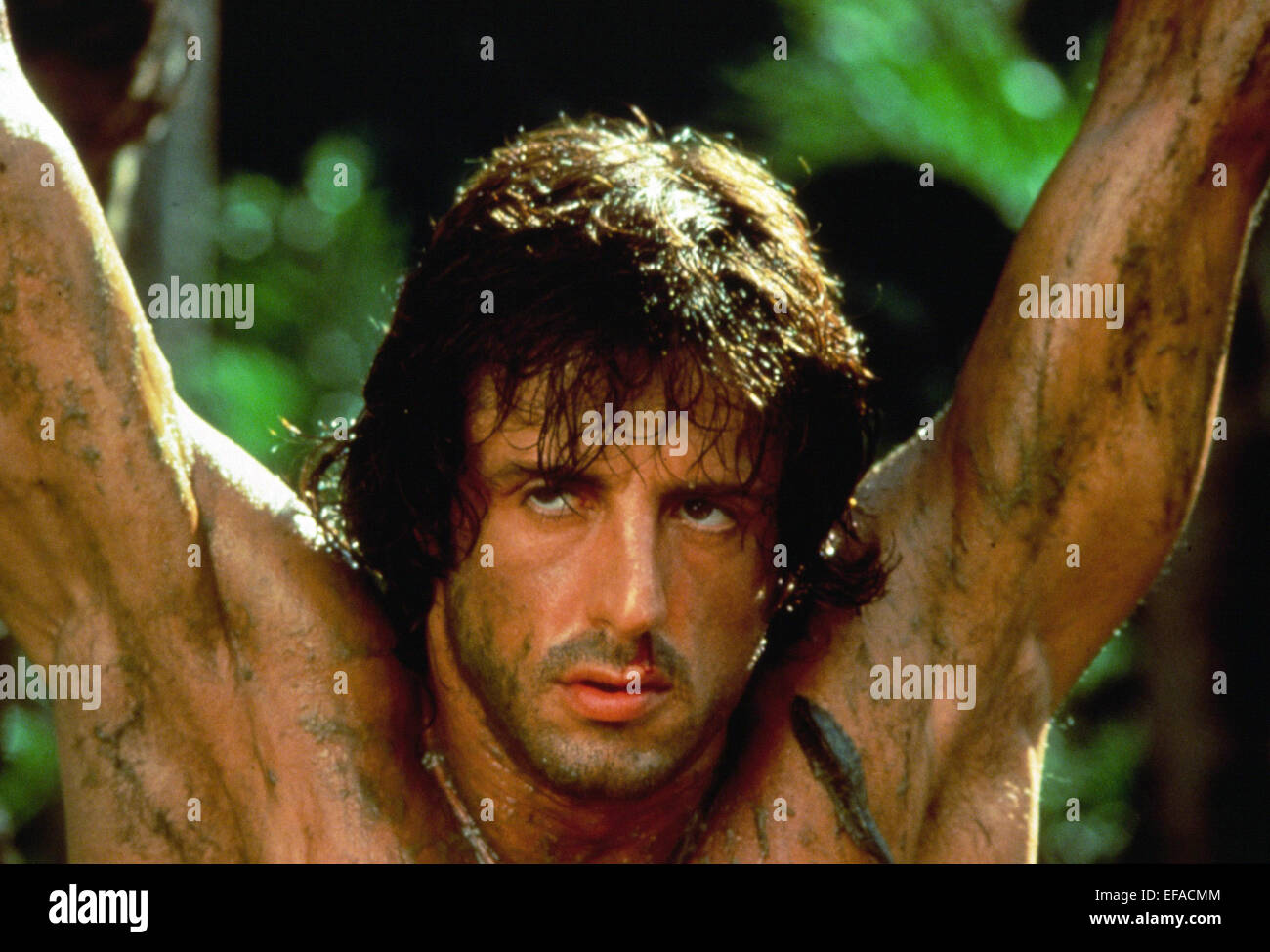 First Blood Part Ii High Resolution Stock Photography and Images - Alamy