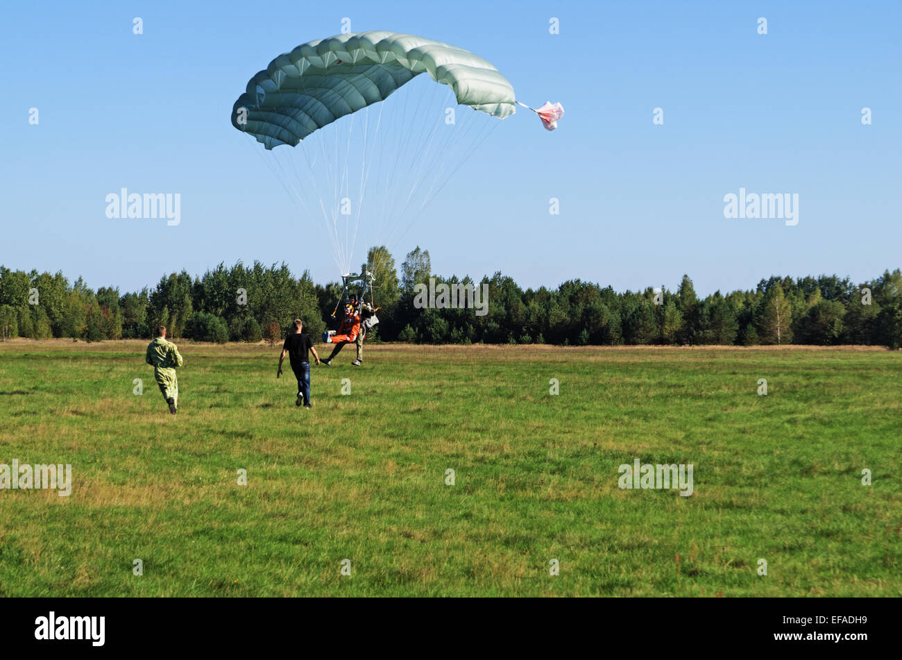 Parachutists - 2014. Landing Stock Photo - Alamy