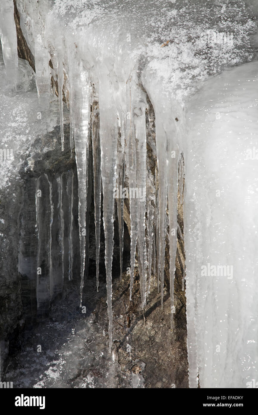 Icy waterfall with long icicles, Black Forest, Baden-Württemberg ...