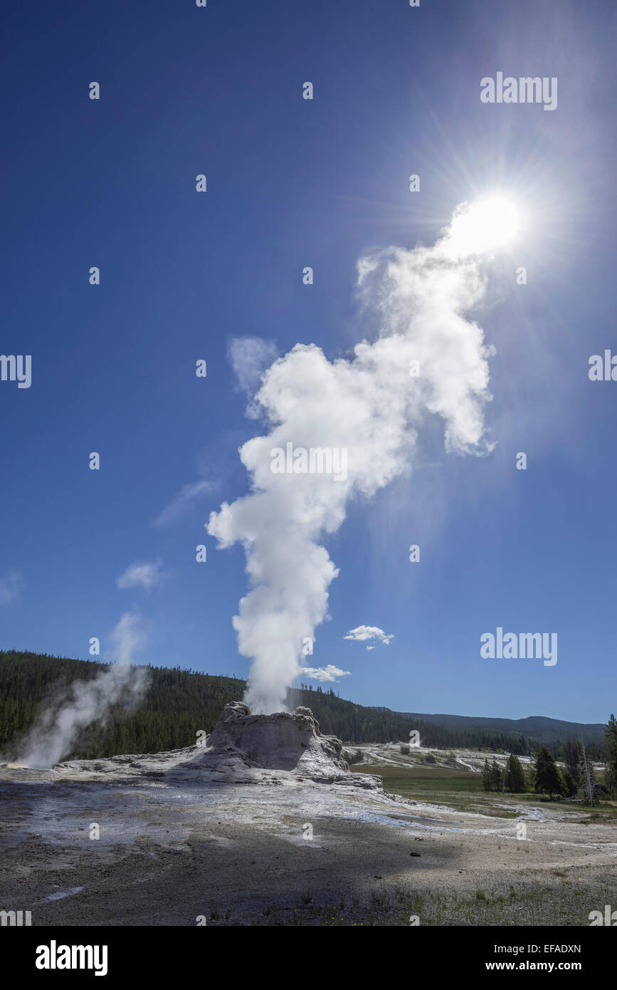 Shell spring hi-res stock photography and images - Alamy