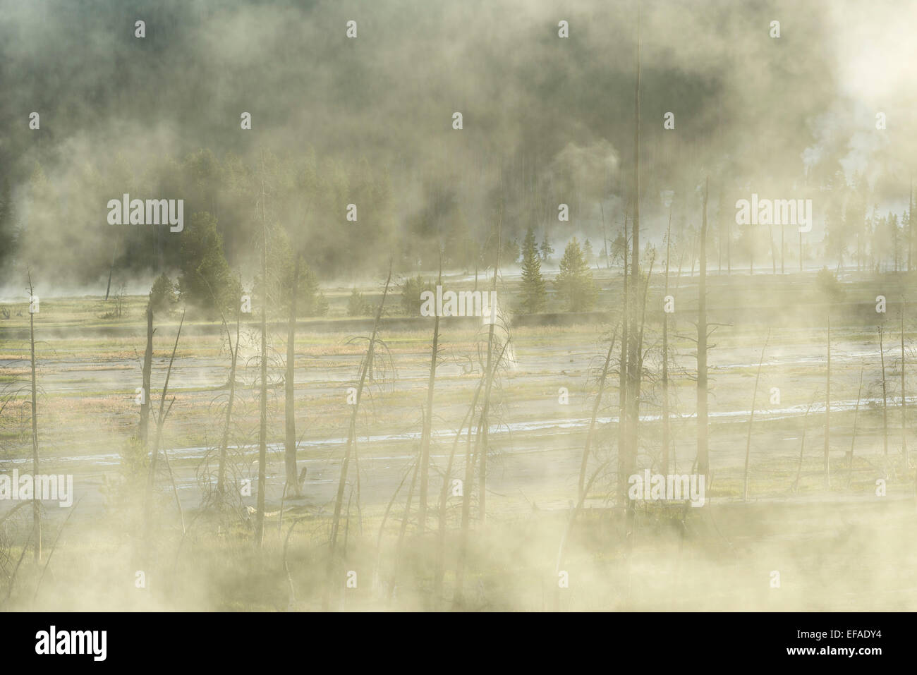 Water vapor above hot springs hi-res stock photography and images - Alamy