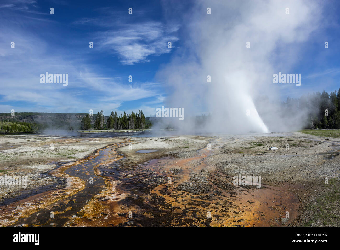 Splendid Geyser, Upper Geyser Basin, Yellowstone National Park, Wyoming ...