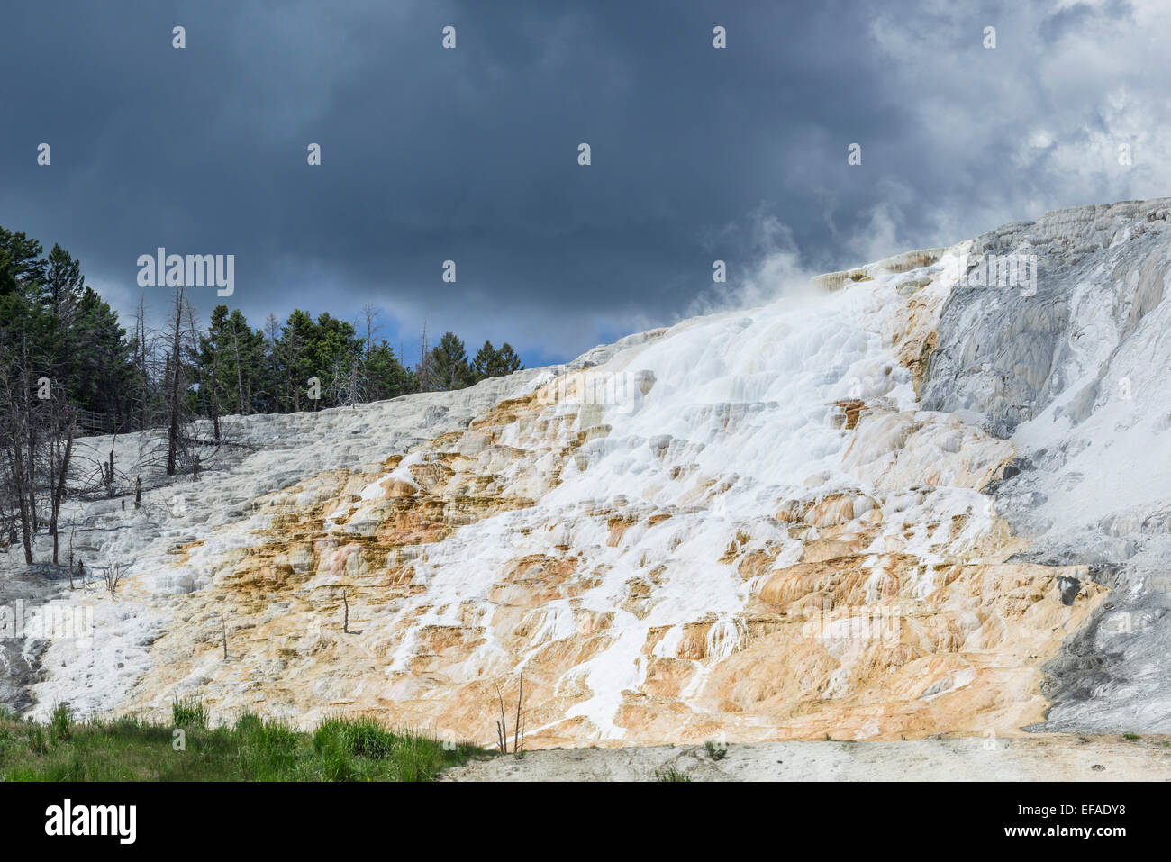 Sinter terrace of mammoth hot springs hi-res stock photography and ...
