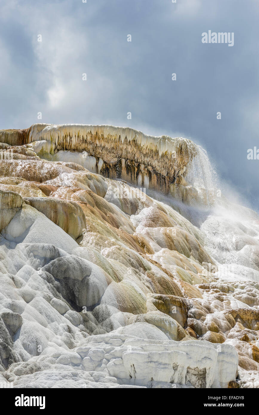 Sinter terraces of the Lower Terrace, Mammoth Hot Springs, Yellowstone ...