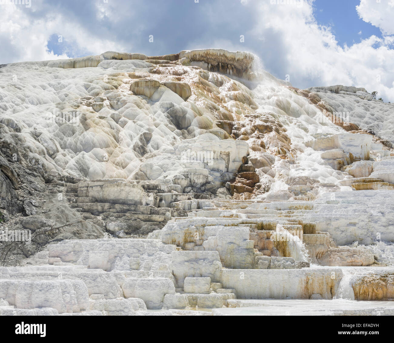 Palette Spring sinter terrace of the Lower Terrace, Mammoth Hot Springs ...
