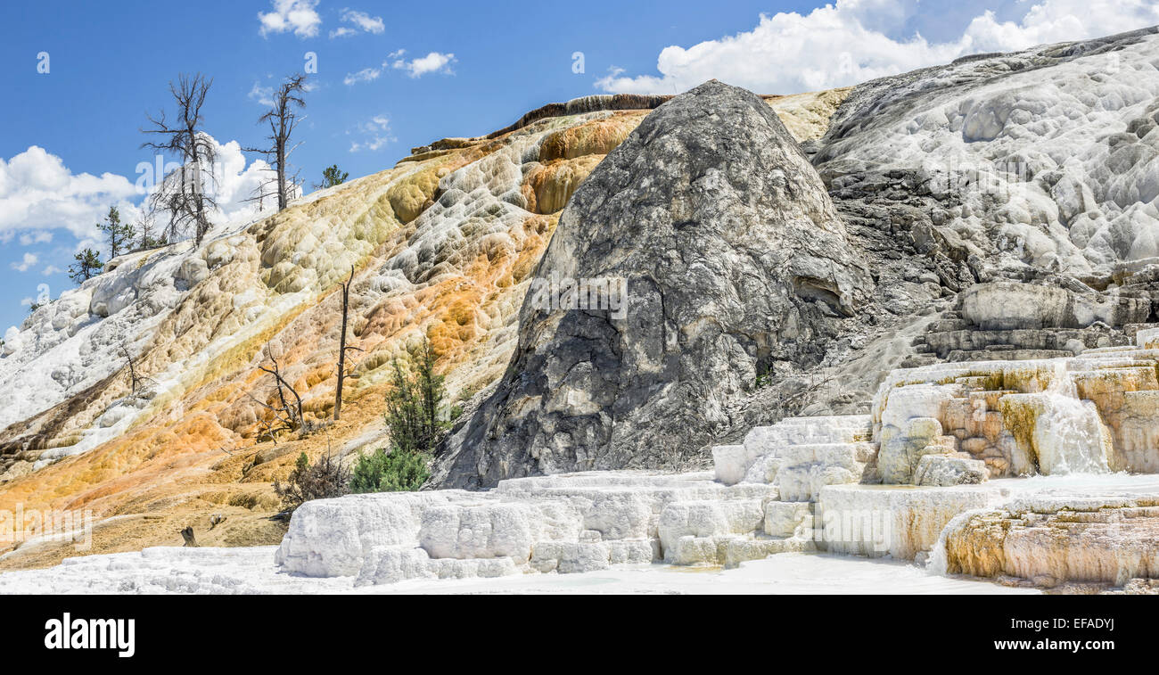 Sinter terraces of the Lower Terrace, Mammoth Hot Springs, Yellowstone ...