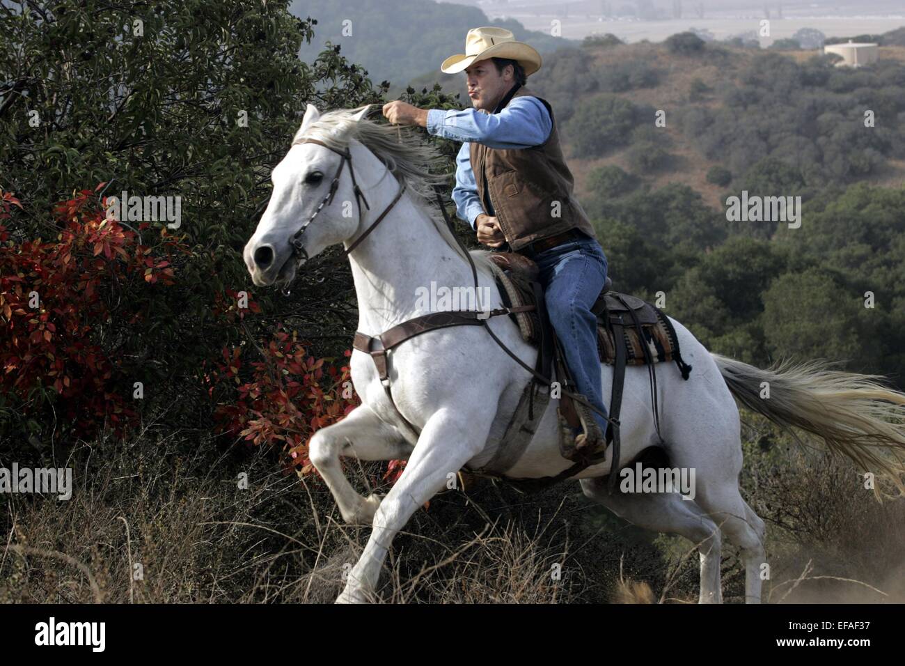 Tom Grainger High Resolution Stock Photography and Images - Alamy