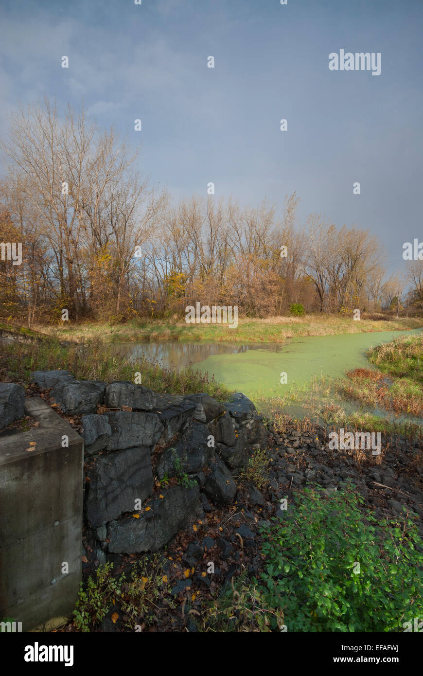 Marsh in the fall Stock Photo - Alamy