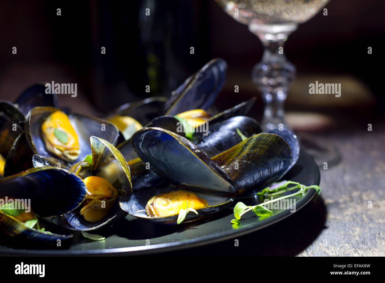 Dark mule hi-res stock photography and images - Alamy