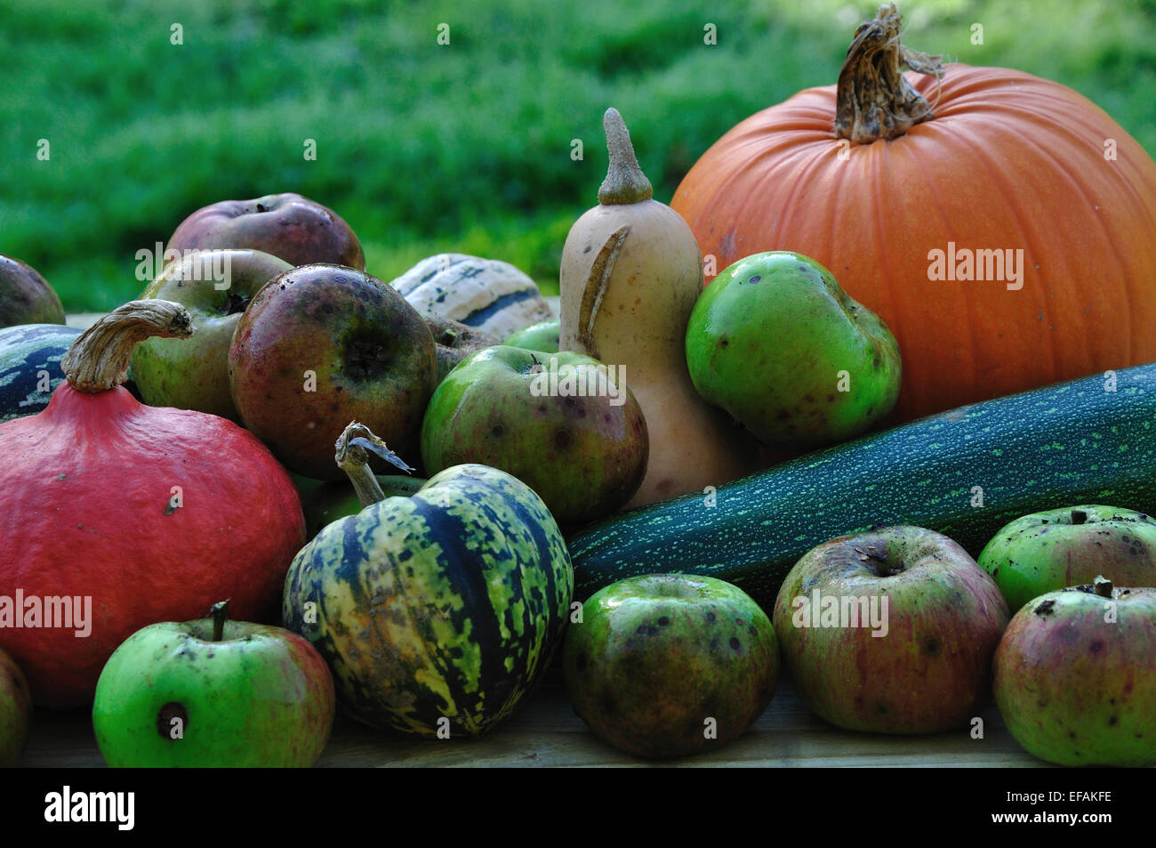 A selection of fruits hi-res stock photography and images - Alamy