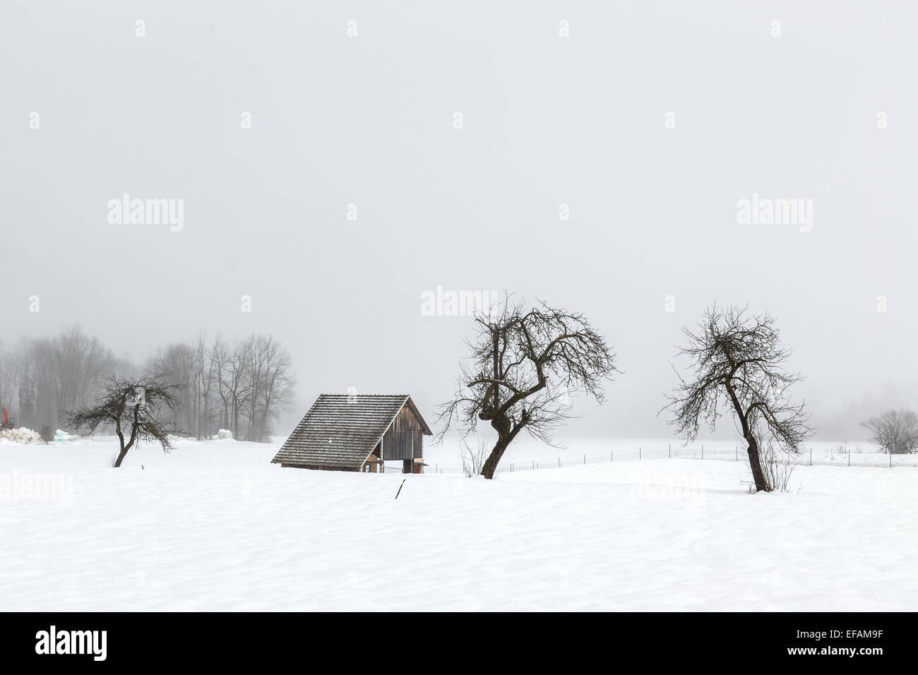 Minimalistic monochrome winter snowy hi-res stock photography and ...