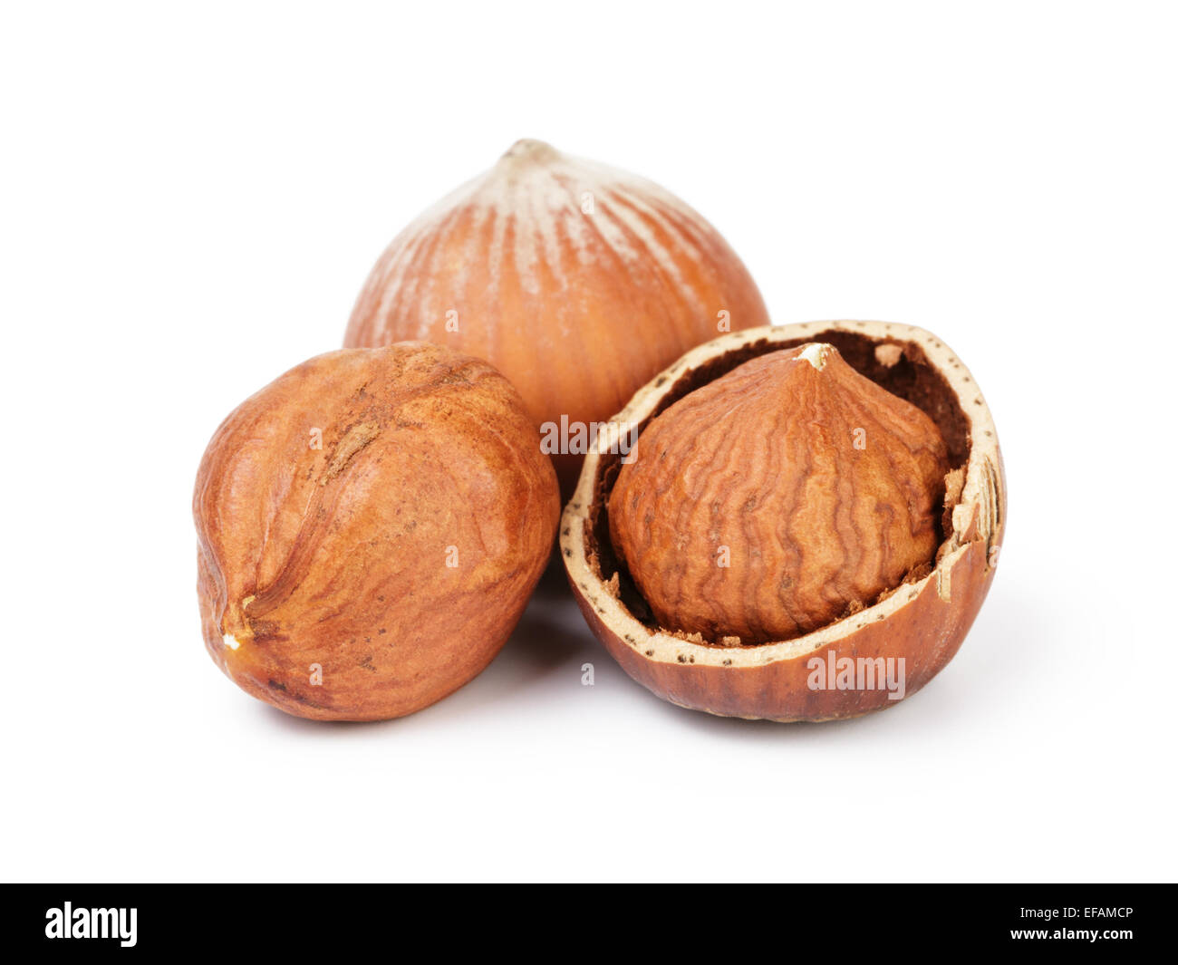 organic peeled hazelnuts isolated Stock Photo - Alamy