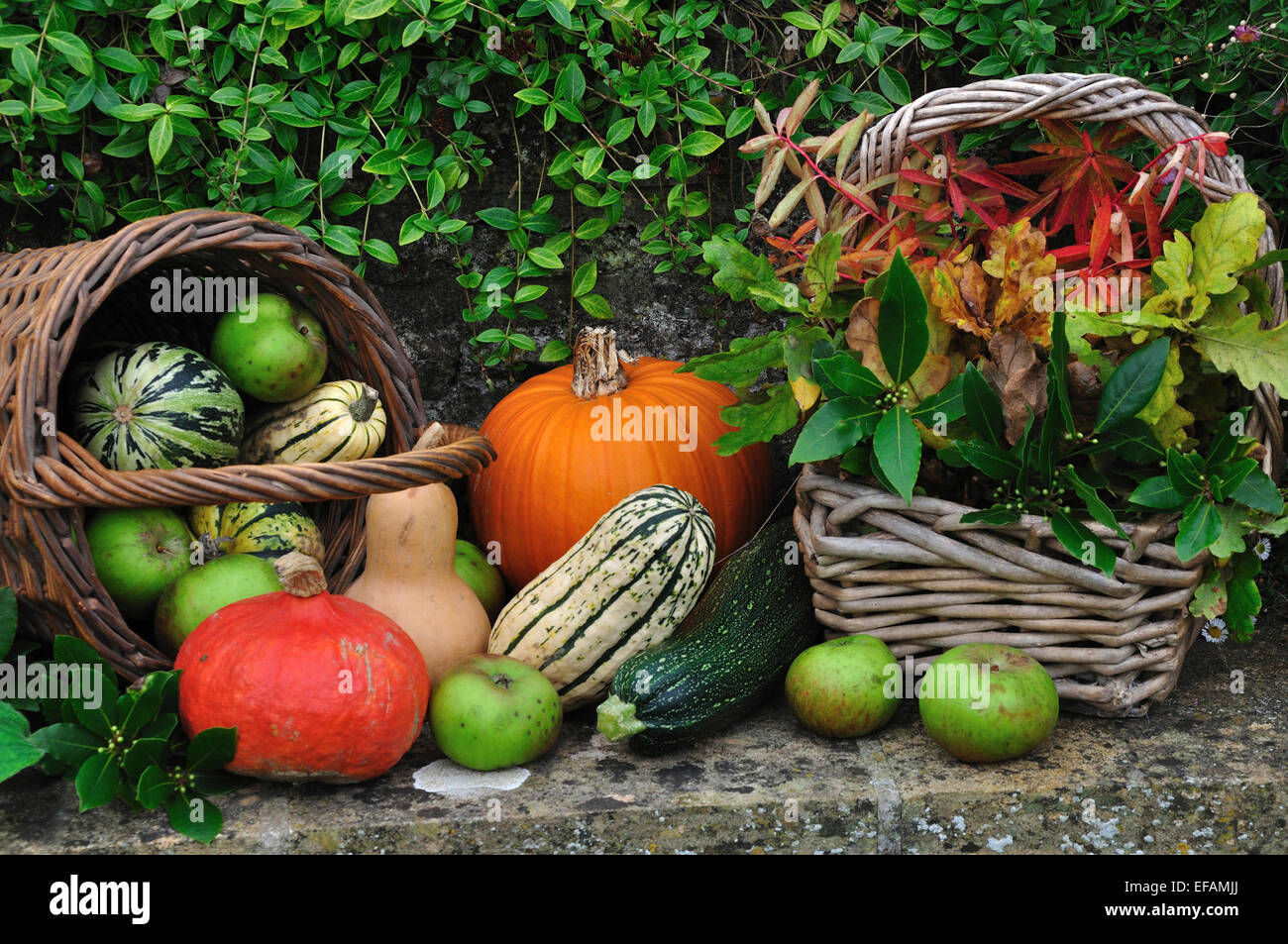 A display of autumn fruit and vegetables - pumpkins, marrows, herbs and ...