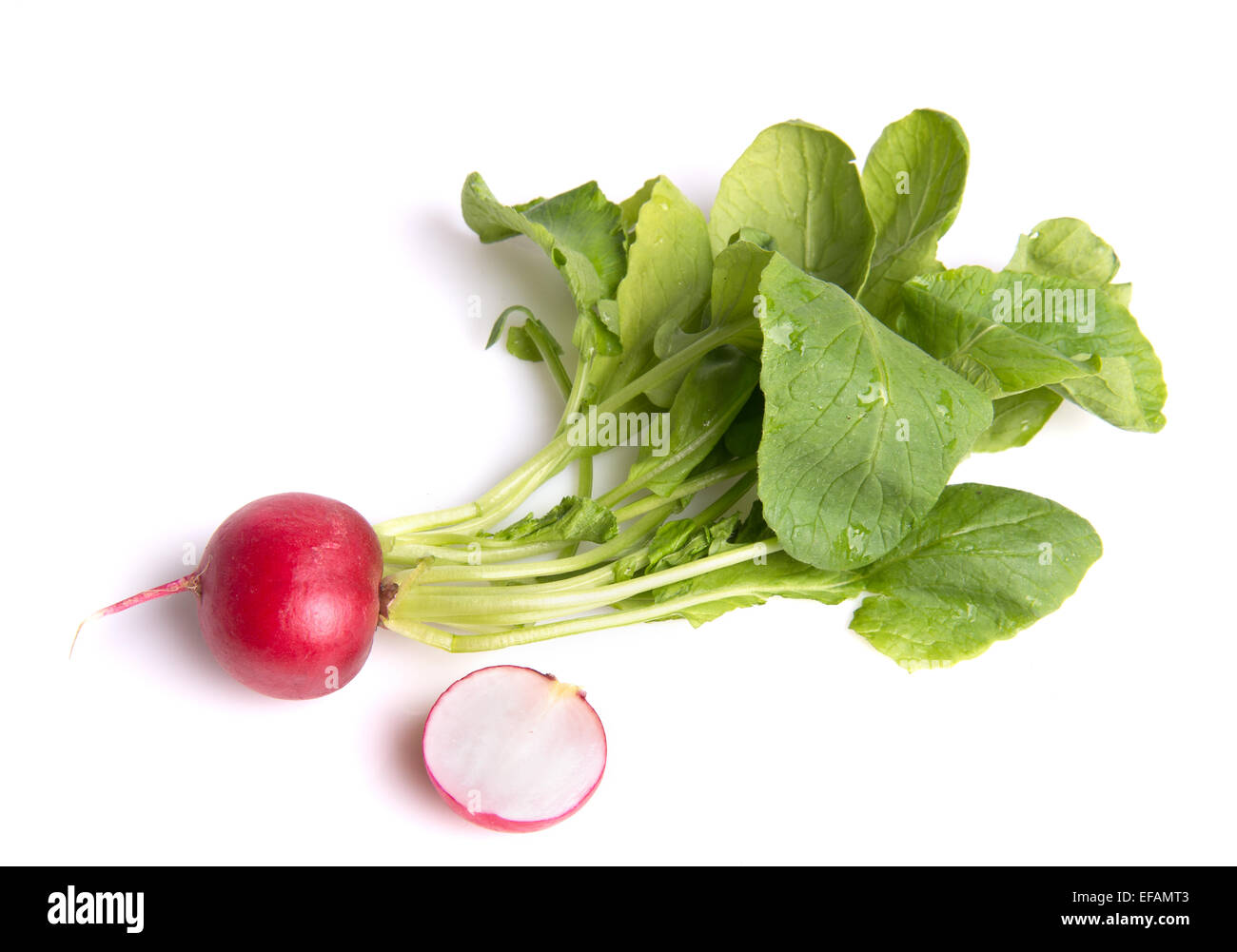 Purple long radish hi-res stock photography and images - Alamy