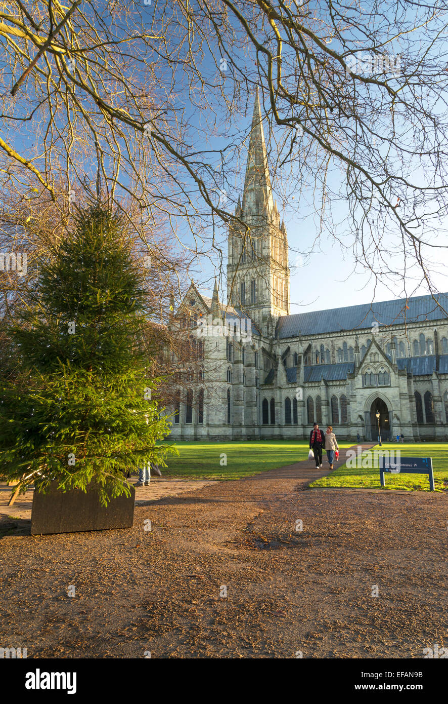 Salisbury and south wiltshire museum hi-res stock photography and ...