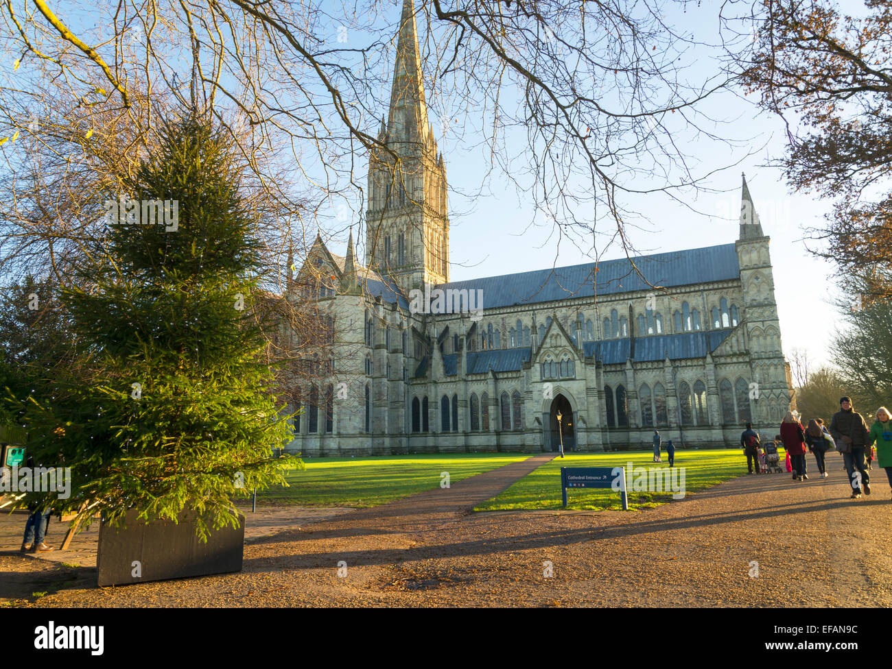 Display christmas tree at Salisbury, Wiltshire Stock Photo - Alamy