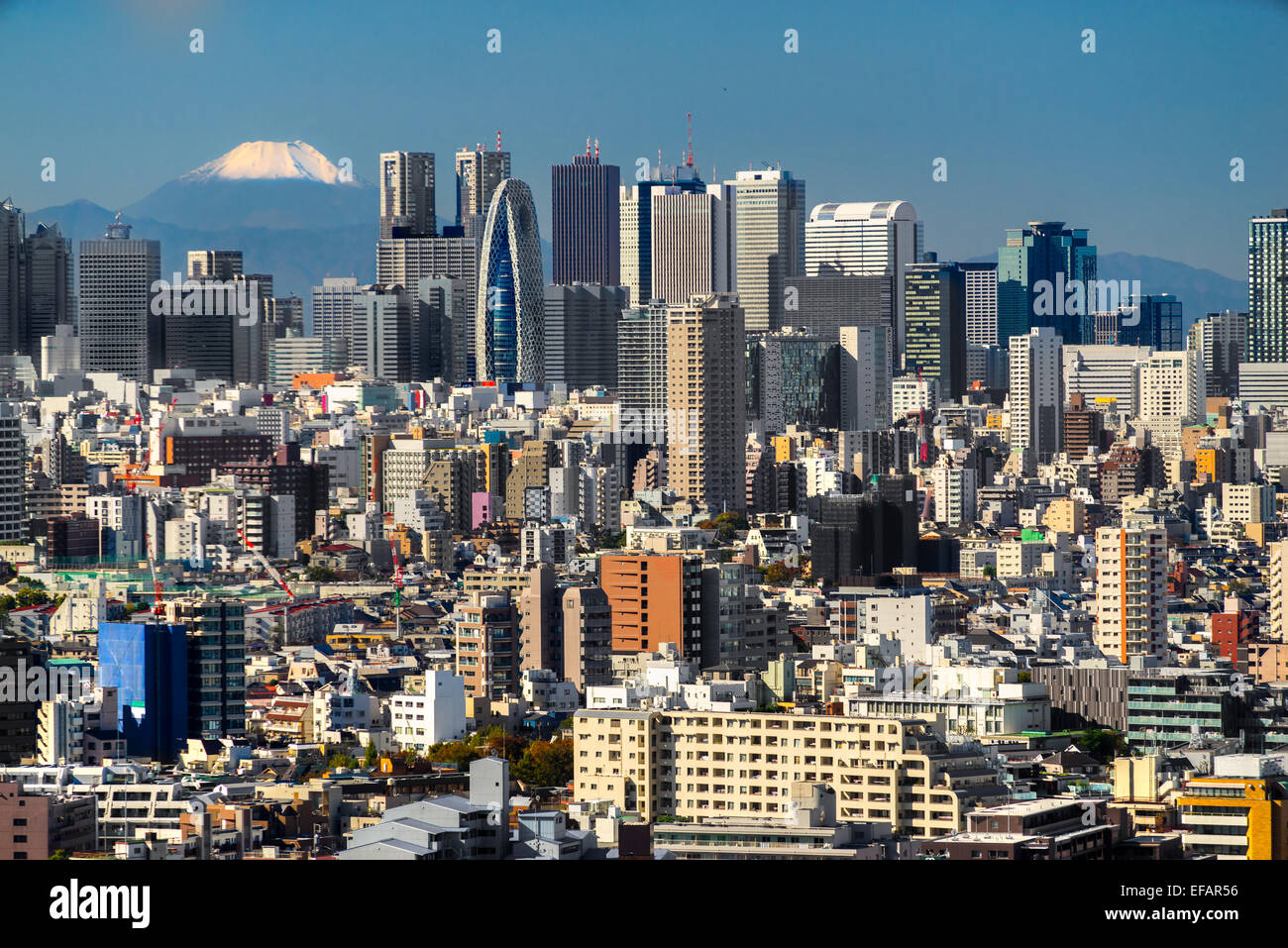 Tokyo skyline with Mount Fuji, Japan Stock Photo - Alamy
