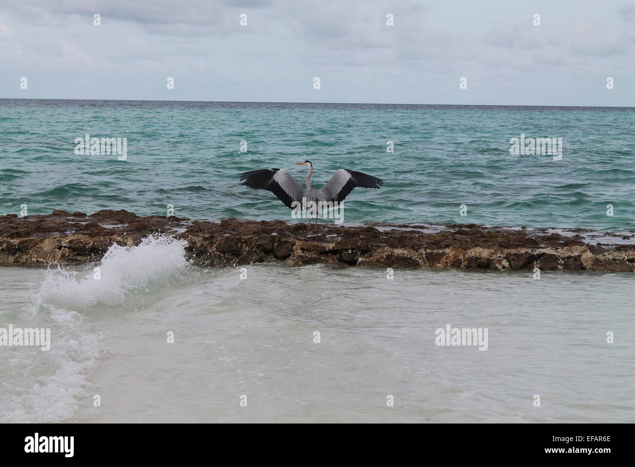 Aperte hi-res stock photography and images - Alamy