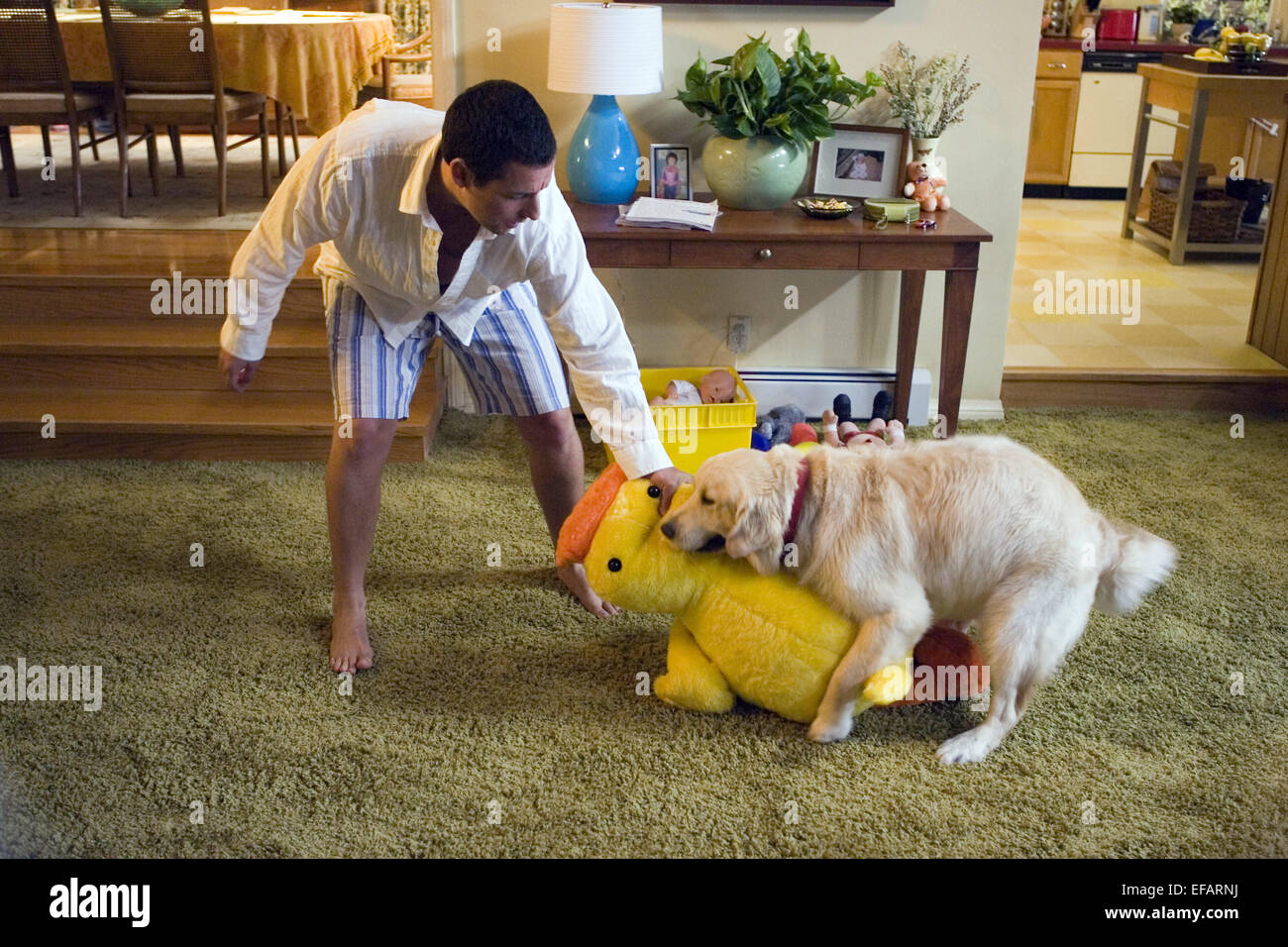 Adam Sandler And His Dog High Resolution Stock Photography and Images ...