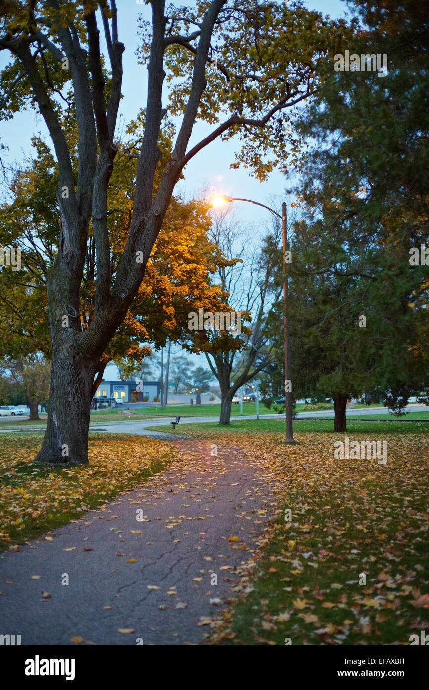 Park path with fall color and street light in Kollen Park, Holland ...