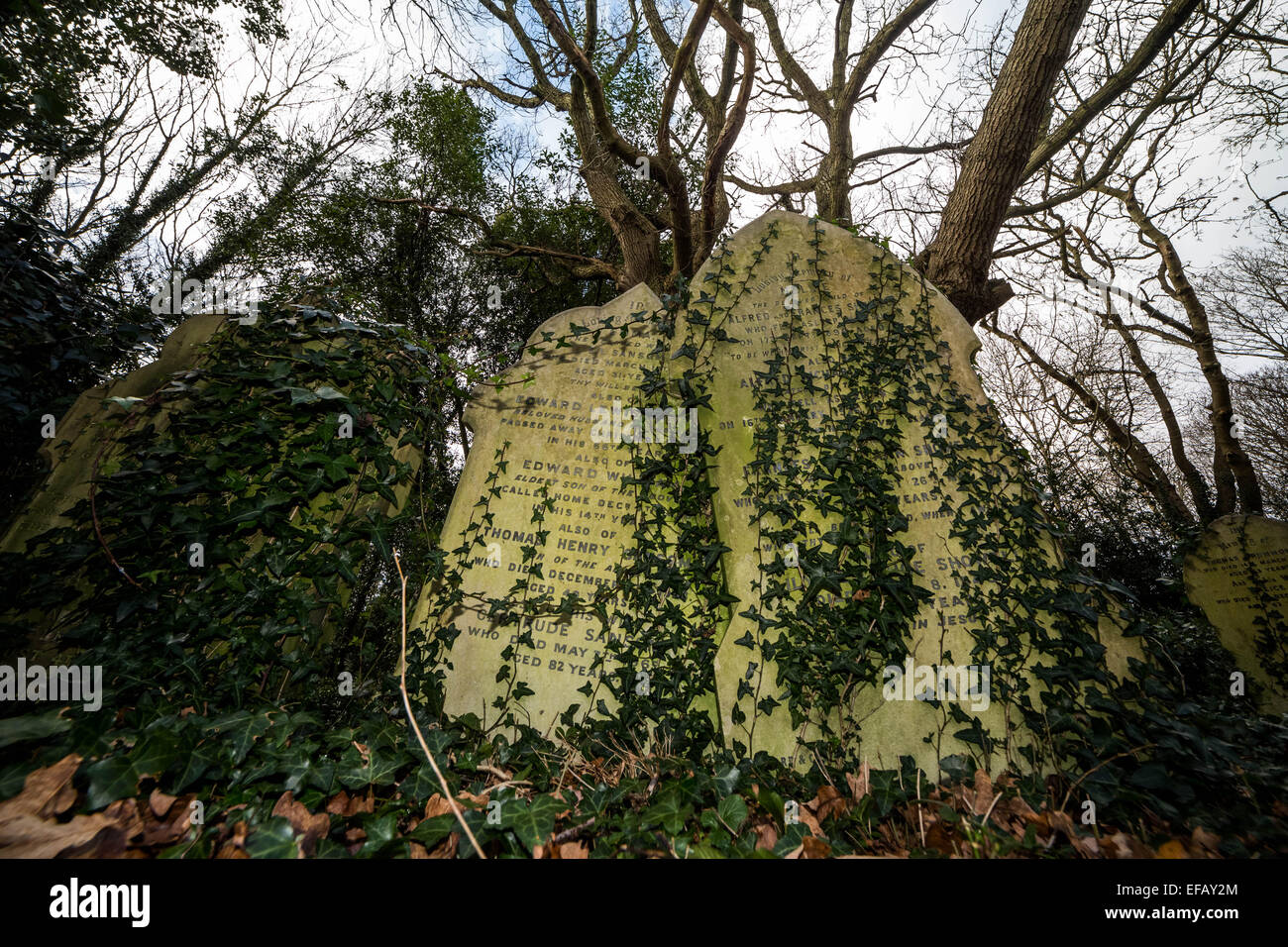 Highgate Cemetery (east) in North London, UK Stock Photo - Alamy