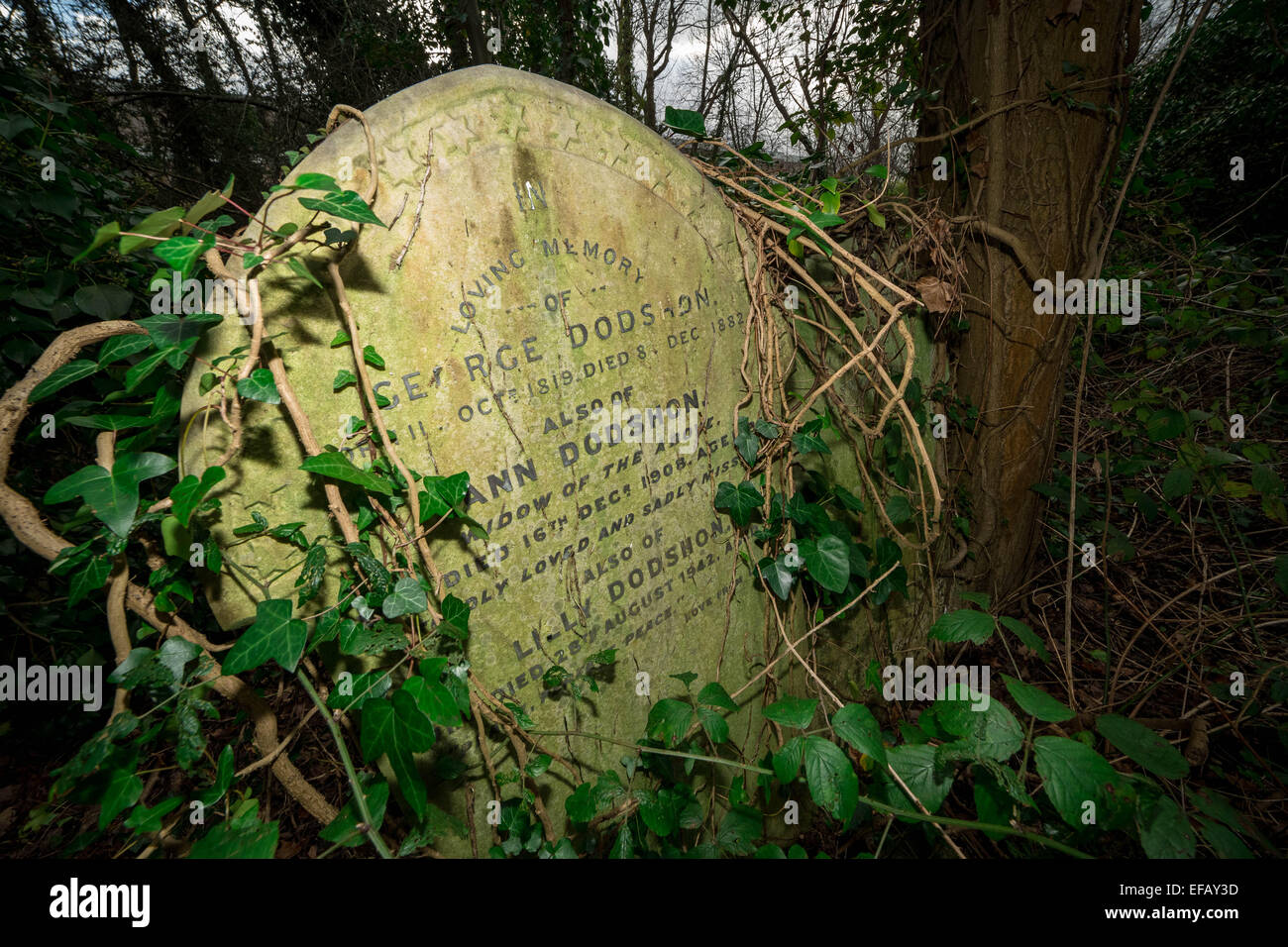 Highgate Cemetery (east) in North London, UK Stock Photo - Alamy