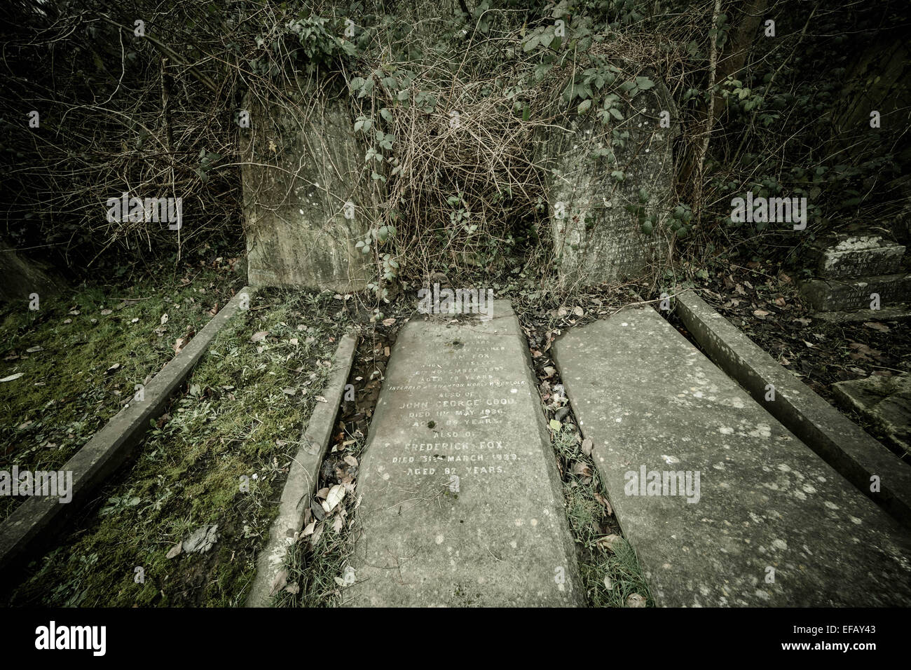 Highgate Cemetery (east) in North London, UK Stock Photo - Alamy